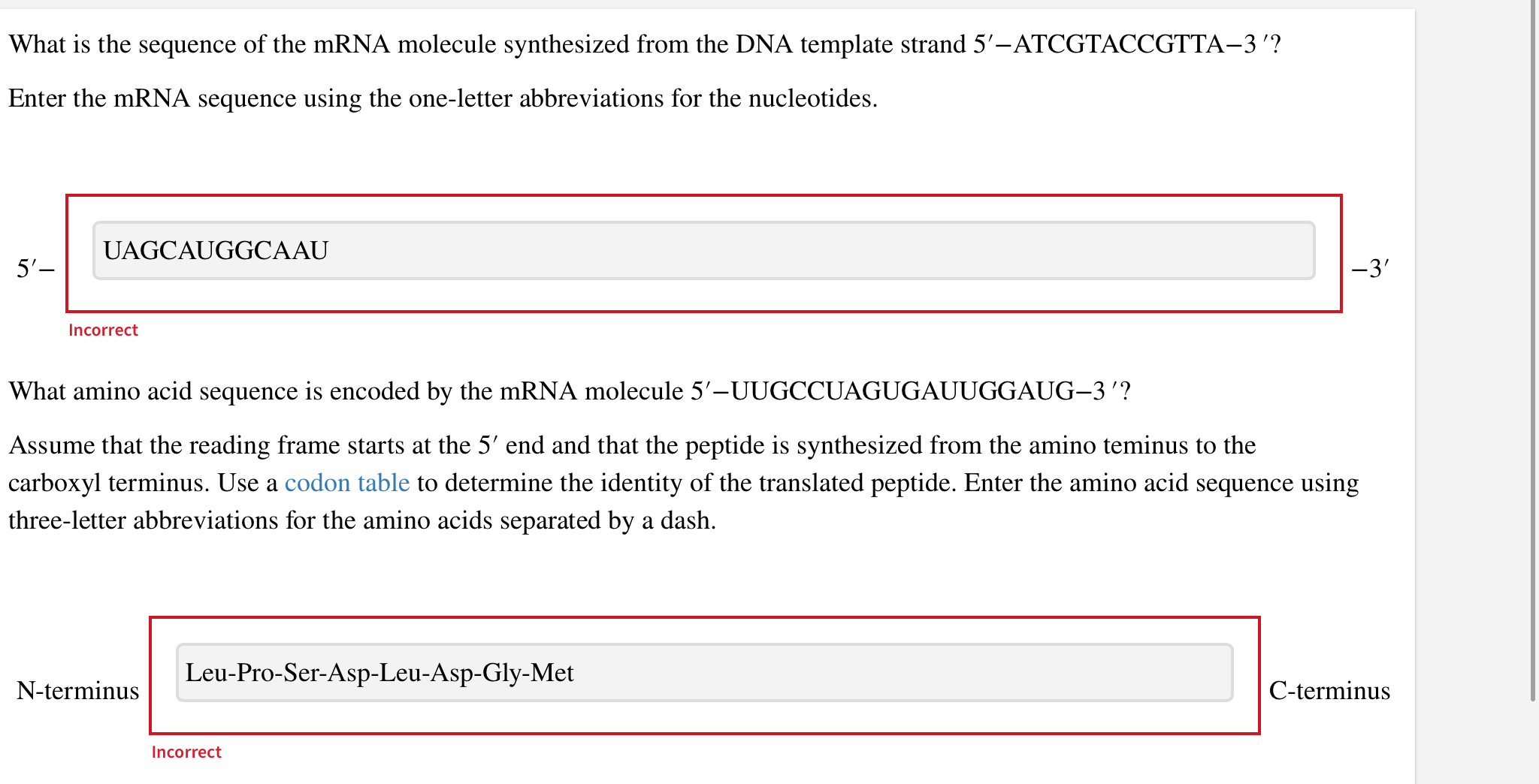 Solved What is the sequence of the mRNA molecule synthesized | Chegg.com