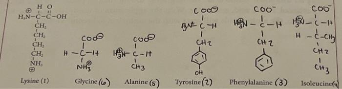 Solved 3. Explain how the amino acid polarity ranking | Chegg.com