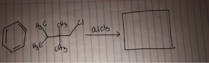 Solved CH3 cl alch CH3 | Chegg.com