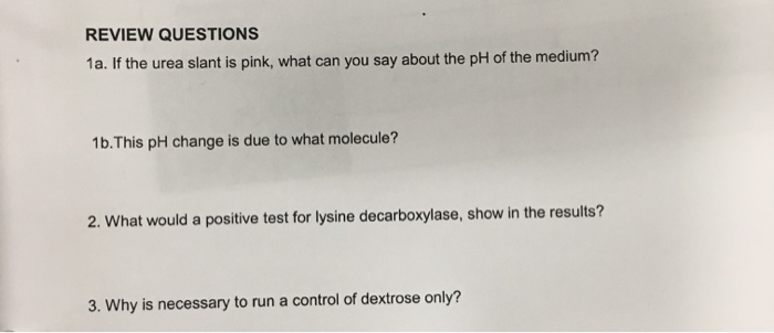Solved REVIEW QUESTIONS 1a. If the urea slant is pink, what | Chegg.com