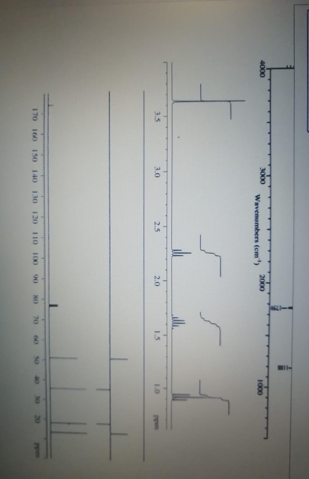 Solved Provide detailed rational interpretation of the | Chegg.com