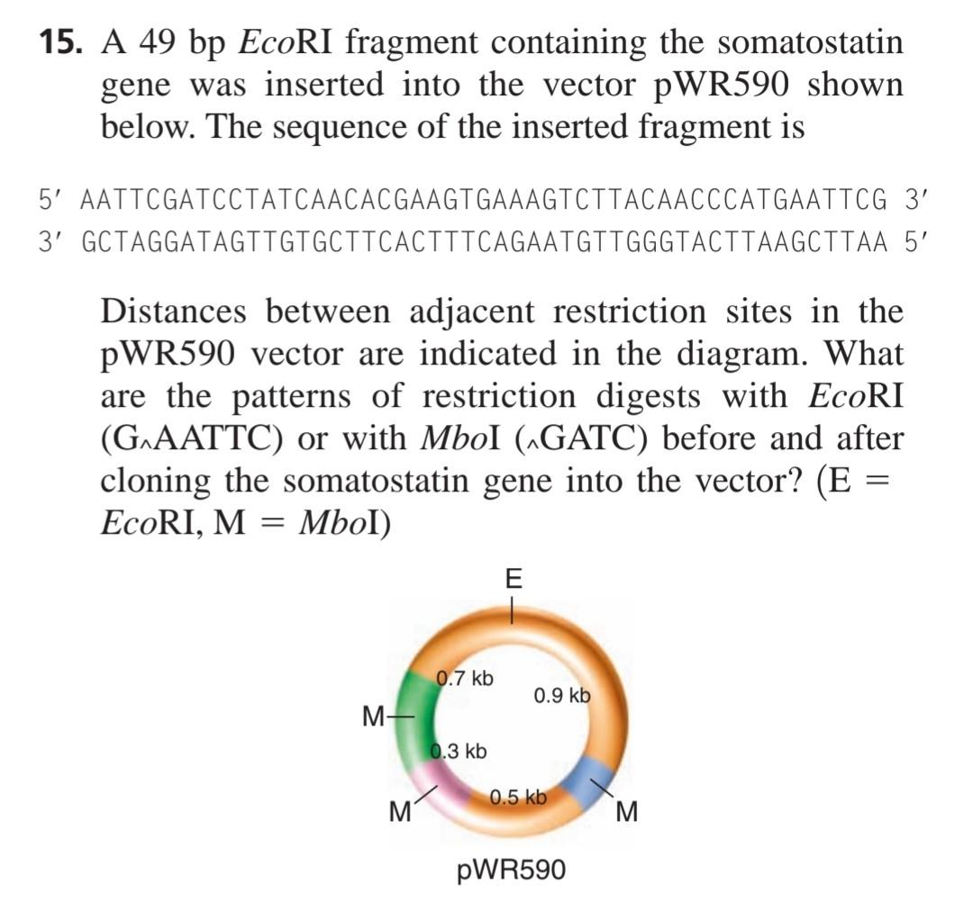 Solved 15. A 49 bp EcoRI fragment containing the | Chegg.com