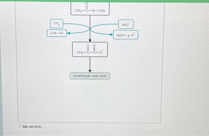 The biochemical pathway in the drawing area below is | Chegg.com