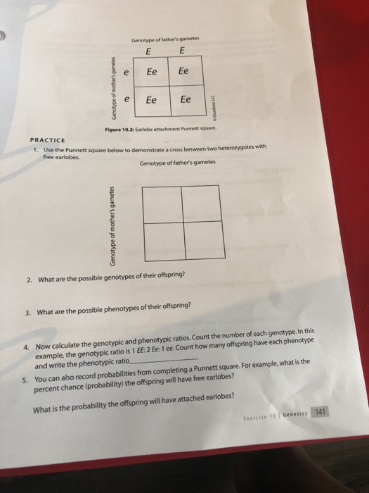 Solved POST-LAB: EXERCISE 10 QUESTIONS 1. Define the term | Chegg.com