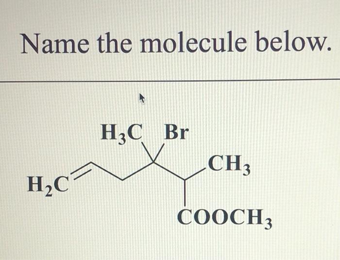 Solved Name the molecule below. H3C Br CH3 H2C COOCHZ | Chegg.com