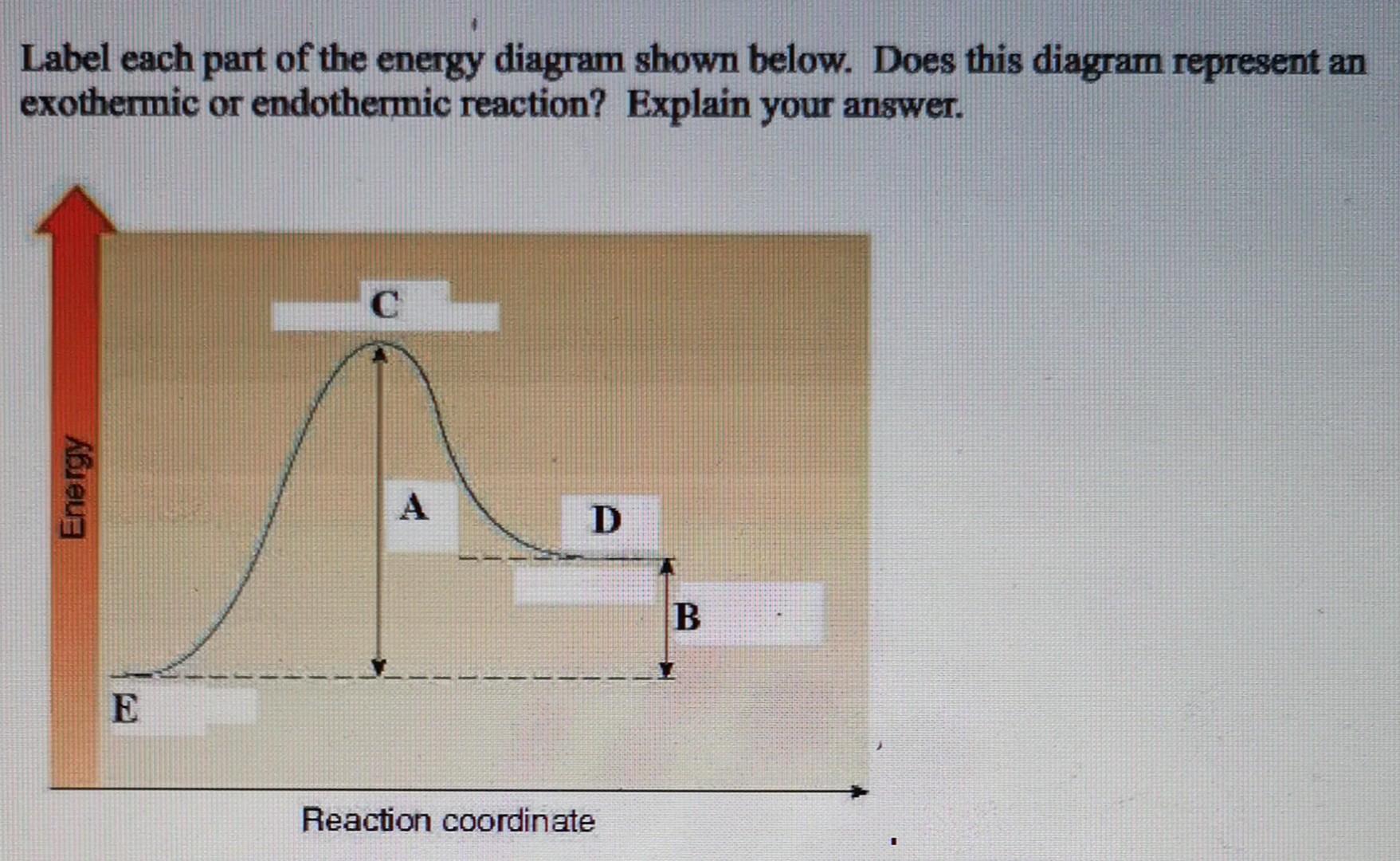 Solved Label each part of the energy diagram shown below. | Chegg.com