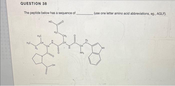 Solved The peptide below has a sequence of (use one letter | Chegg.com