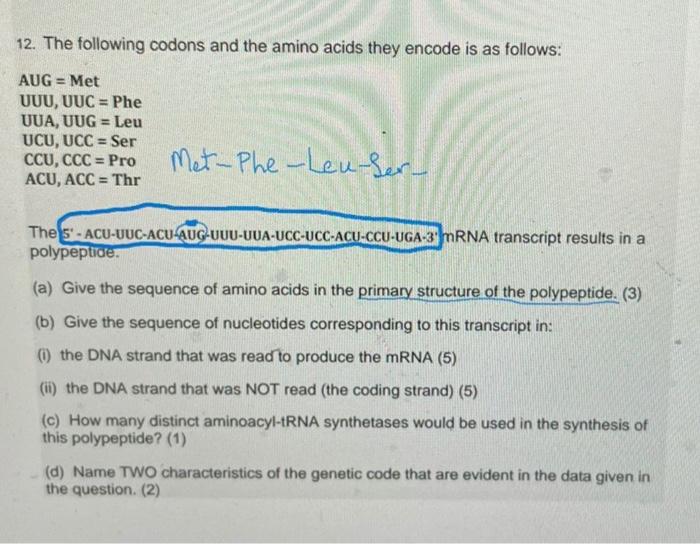 Solved 12. The following codons and the amino acids they | Chegg.com