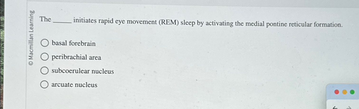 Solved The initiates rapid eye movement (REM) ﻿sleep by | Chegg.com