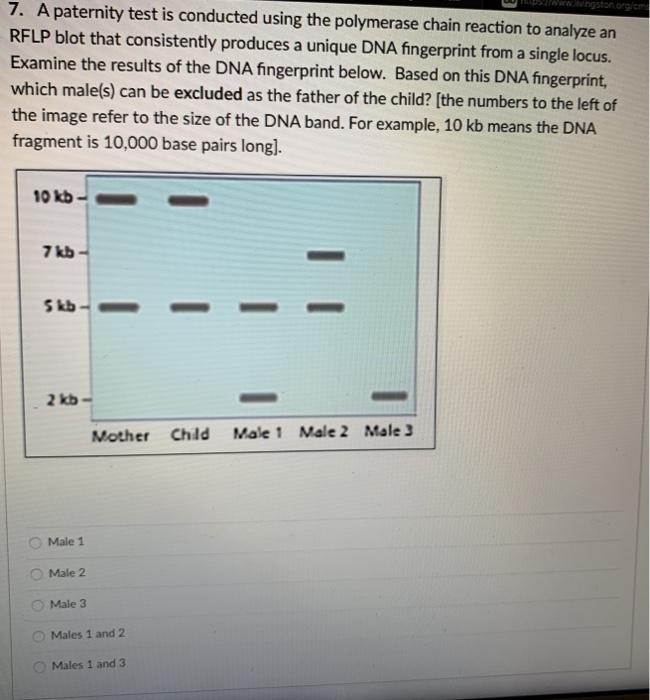 Solved 7. A paternity test is conducted using the polymerase | Chegg.com