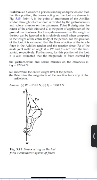 Solved Problem 5.7 Consider a person standing on tiptoe on | Chegg.com
