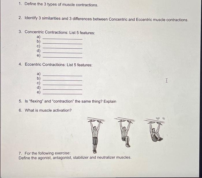 Solved 1. Define the 3 types of muscle contractions. 2. | Chegg.com