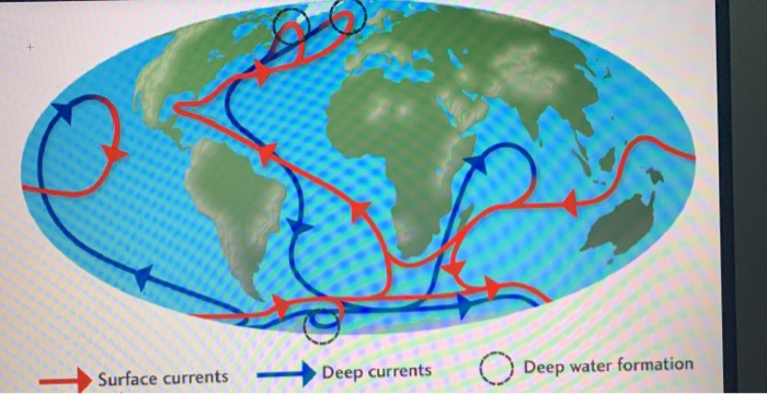 C. OCEANS: The Thermohaline circulation in the | Chegg.com