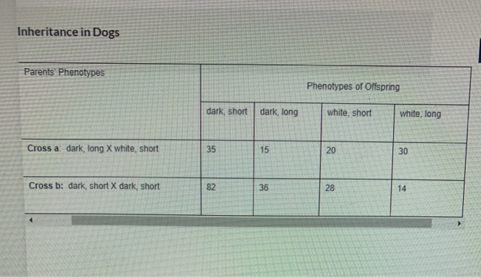 Solved Inheritance in Dogs Parents' Phenotypes Phenotypes of | Chegg.com