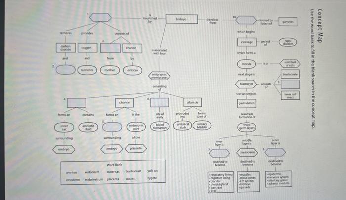 Solved dewldaju0) | Chegg.com