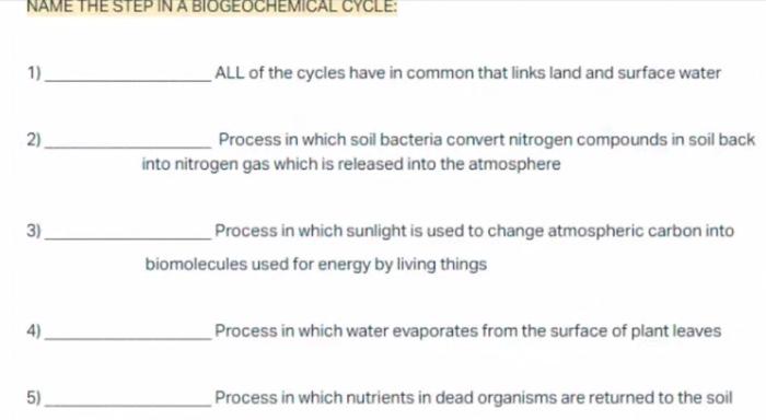 Solved NAME THE STEP IN A BIOGEOCHEMICAL CYCLE: 1) ALL of | Chegg.com