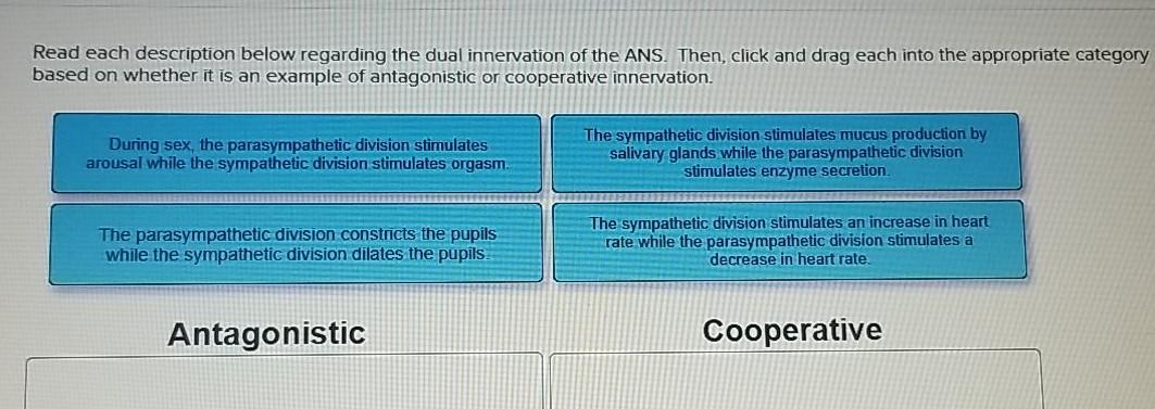 Solved Read each description below regarding the dual | Chegg.com