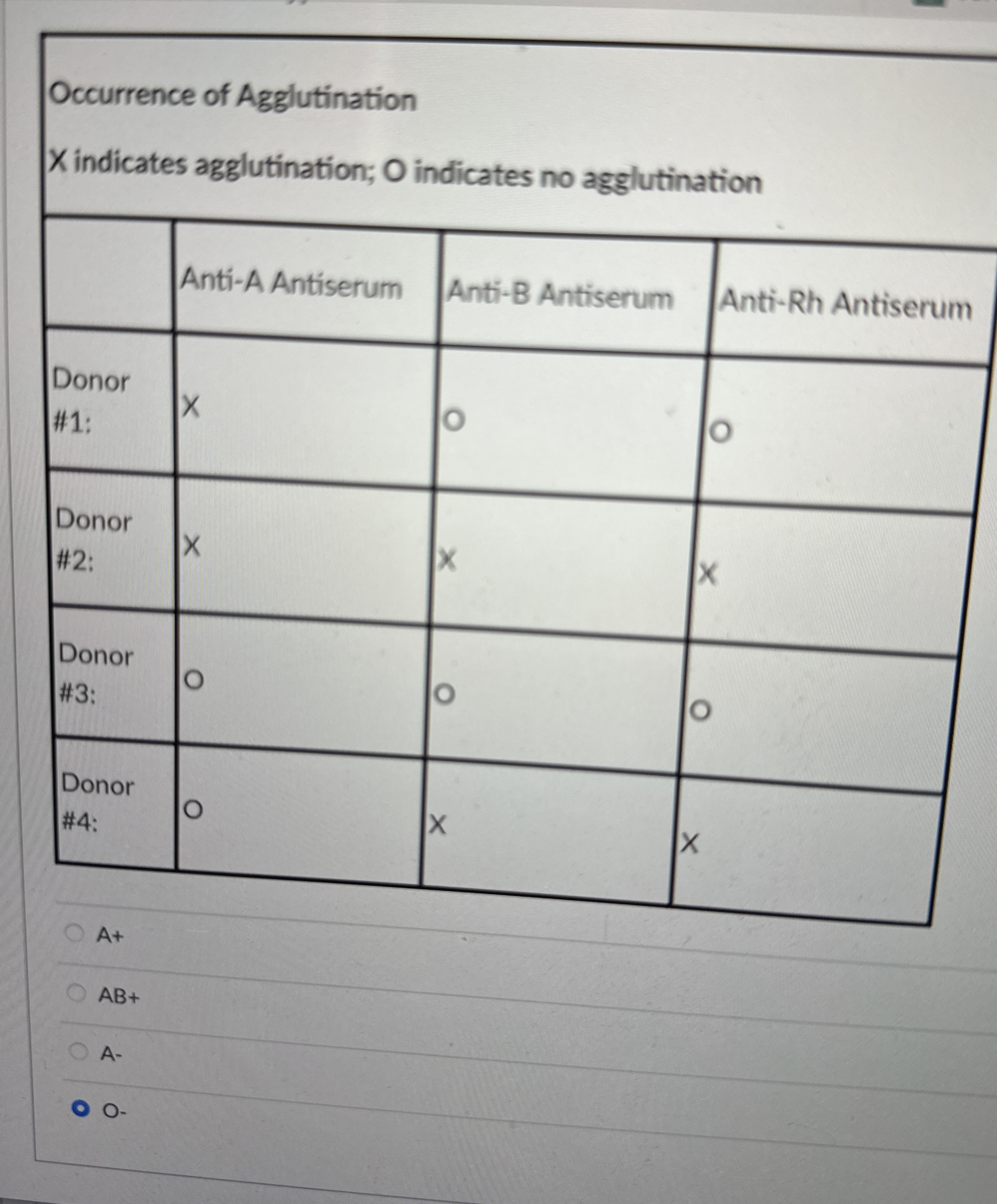 Solved Occurrence of Agglutinationx ﻿indicates | Chegg.com