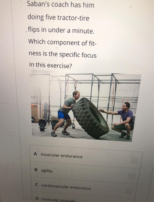 Solved Saban's coach has him doing five tractor-tire .flips | Chegg.com