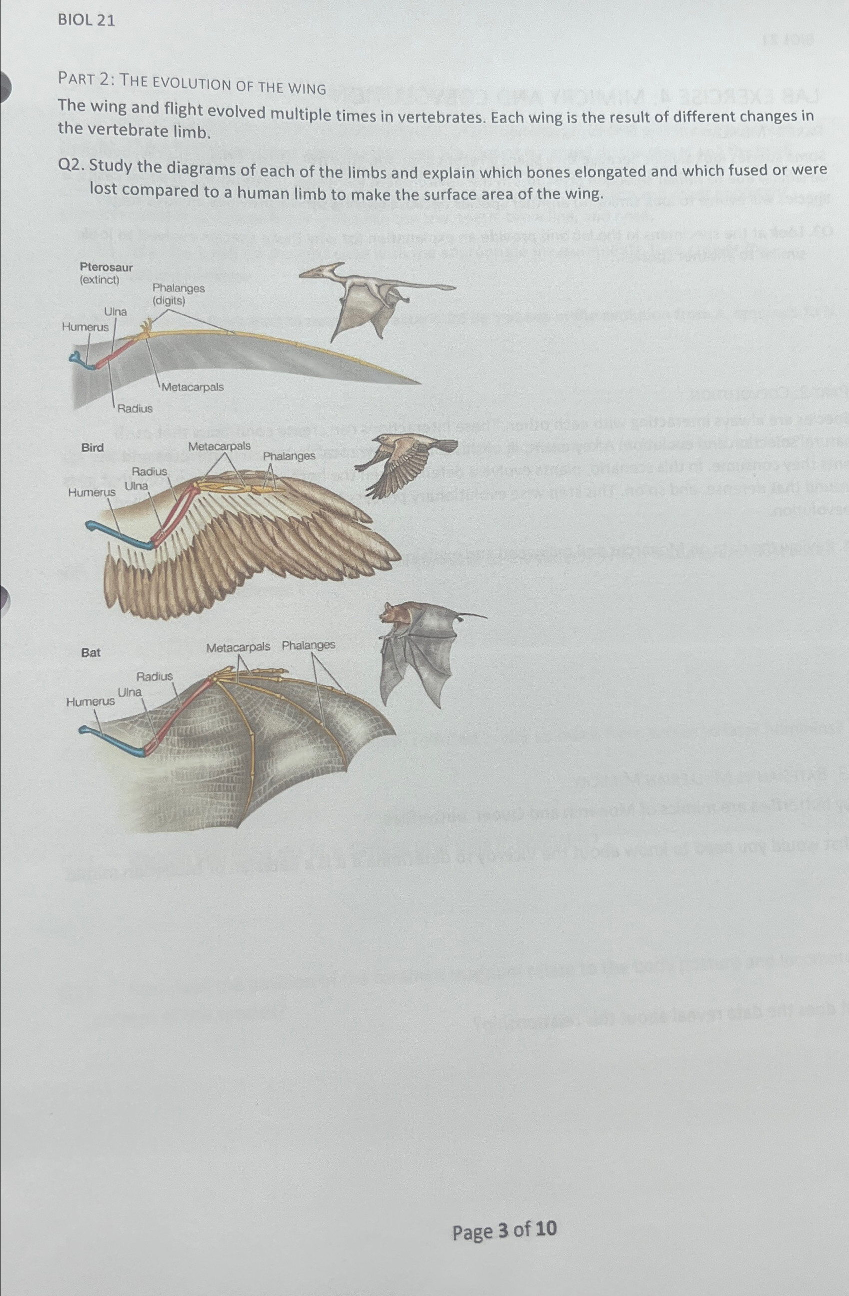BIOL 21PART 2: THE EVOLUTION OF THE WINGThe wing and | Chegg.com