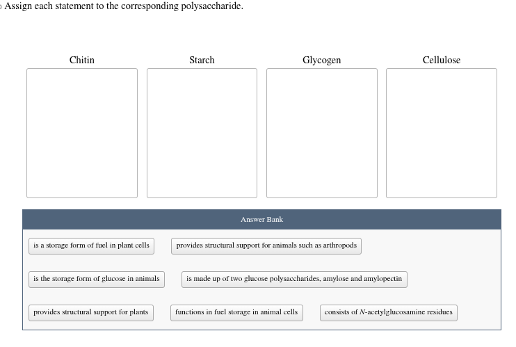 Solved Assign each statement to the corresponding | Chegg.com