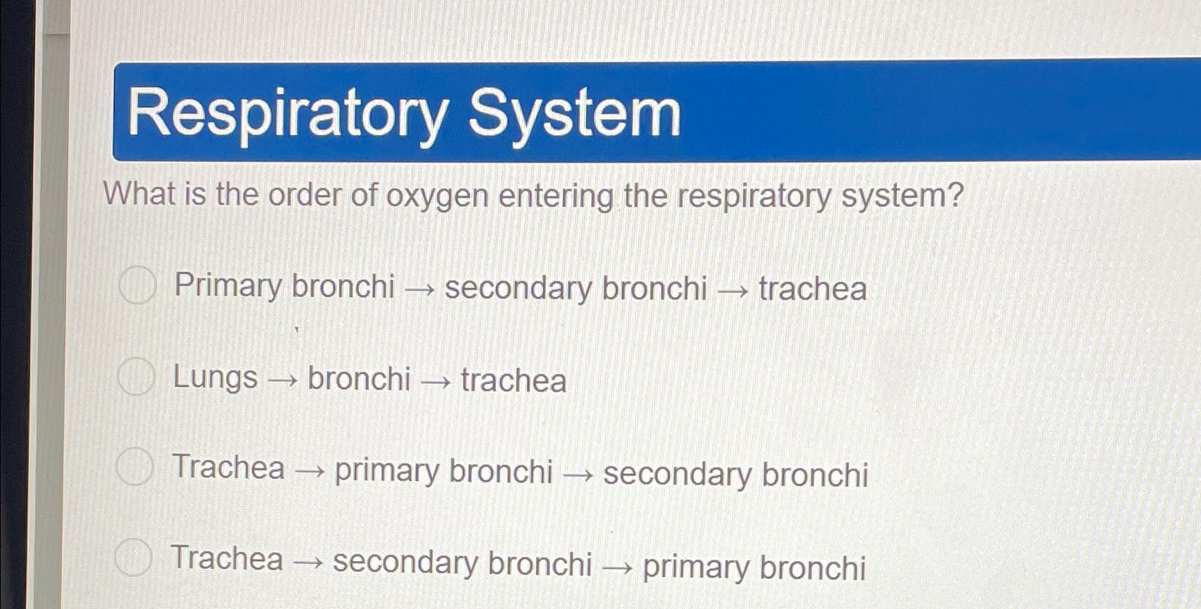 Solved Respiratory SystemWhat is the order of oxygen | Chegg.com