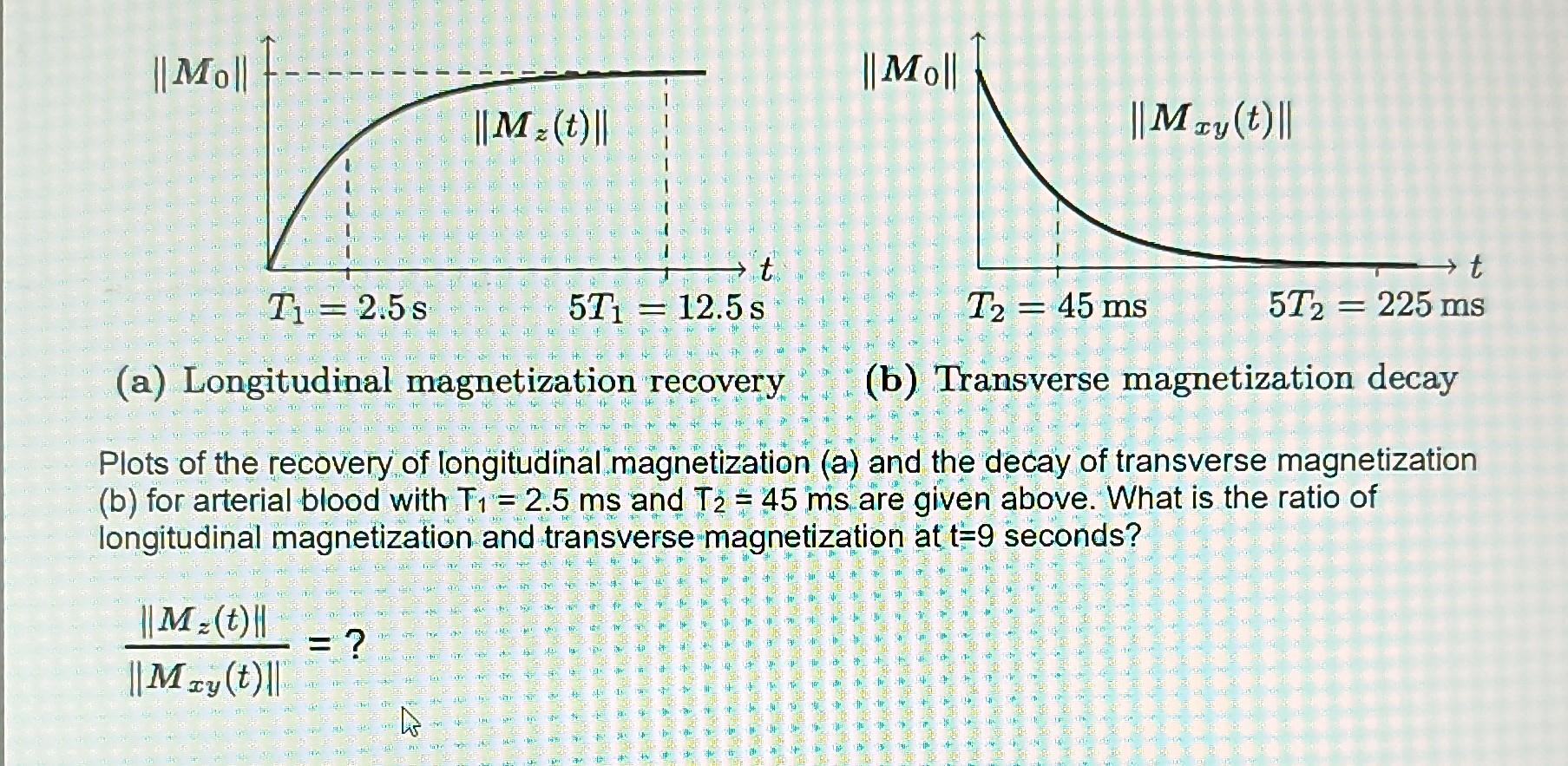 Solved (a) Longitudinal magnetization recovery (b) | Chegg.com