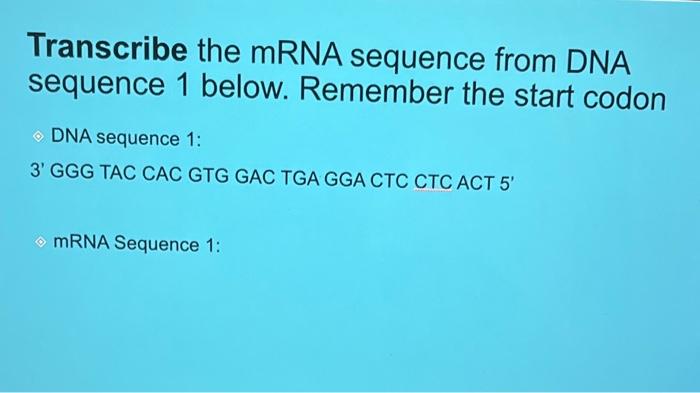 Solved Transcribe the mRNA sequence from DNA sequence 1 | Chegg.com