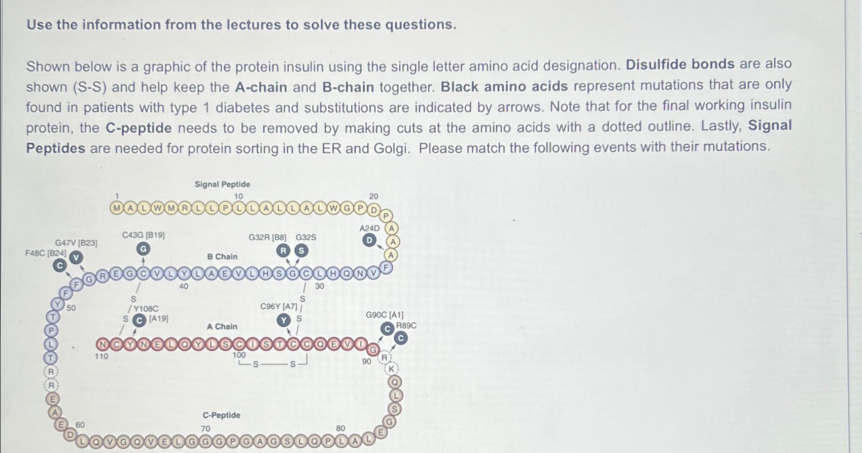 Solved Use the information from the lectures to solve these | Chegg.com