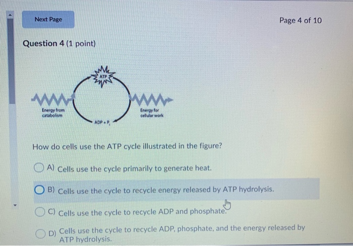 Solved Next Page Page 4 of 10 Question 4 (1 point) Energy | Chegg.com