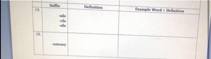 Solved Suffix Definition 19. Example Word Definition -ule | Chegg.com