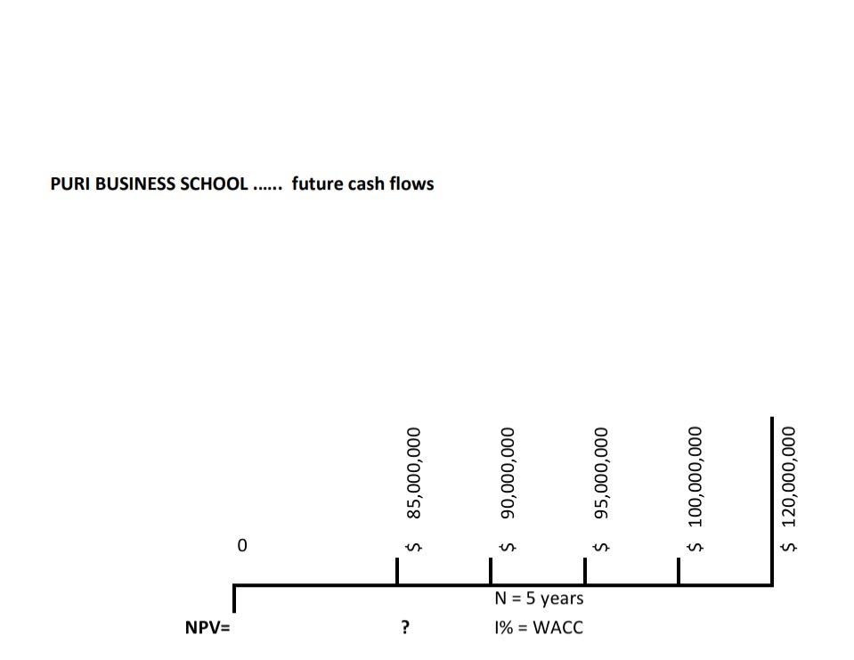 Solved What is the net present value? the WACC is 5.4670 | Chegg.com