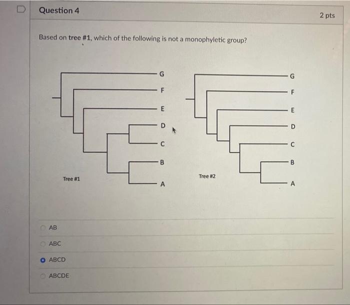 Solved Use the character/taxon matrix below to answer the | Chegg.com