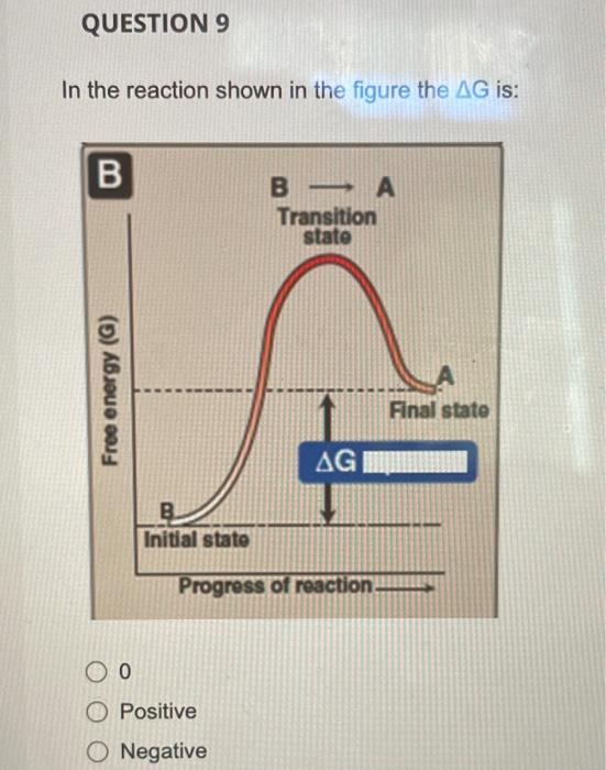 Solved In the reaction shown in the figure the ΔG is: 0 | Chegg.com