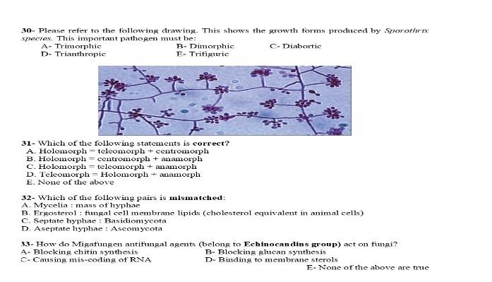 Solved 30- Please refer to the following drawing. This shows | Chegg.com