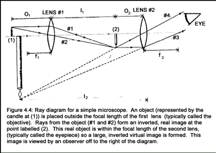 Solved In an experiment, the expected magnification of the | Chegg.com