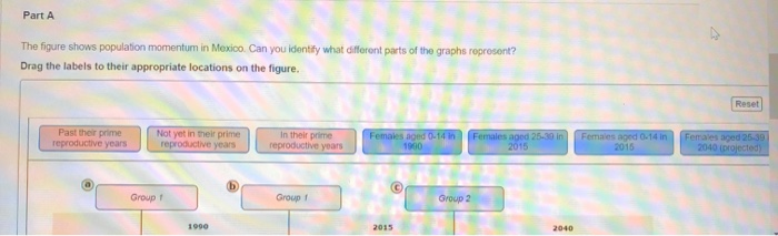 Solved Part A The figure shows population momentum in | Chegg.com