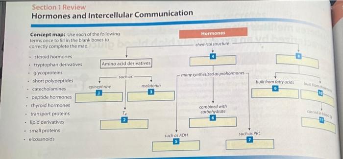 Solved Section 1 Review Hormones and Intercellular | Chegg.com