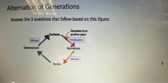 Solved Alternation of Generations Answer the 3 questions | Chegg.com