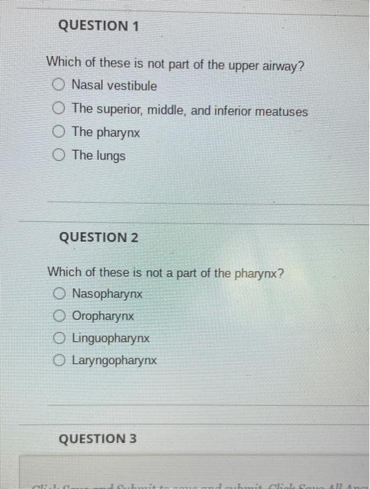 Solved Which of these is not part of the upper airway? Nasal | Chegg.com