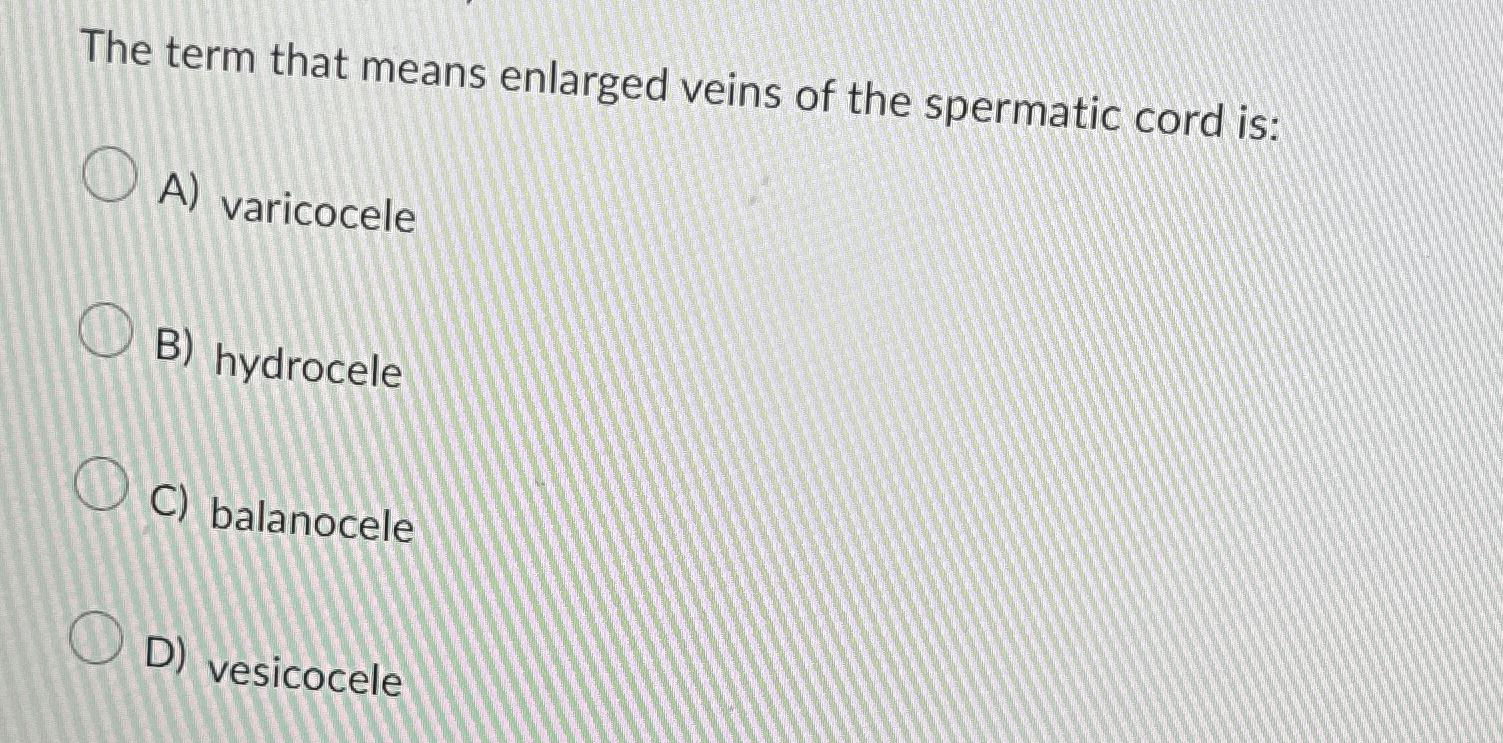 The term that means enlarged veins of the spermatic | Chegg.com