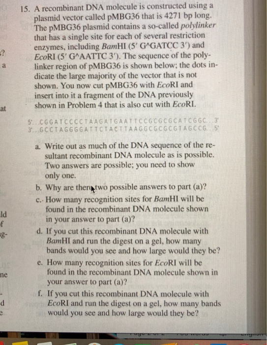 ? 15. A recombinant DNA molecule is constructed using | Chegg.com
