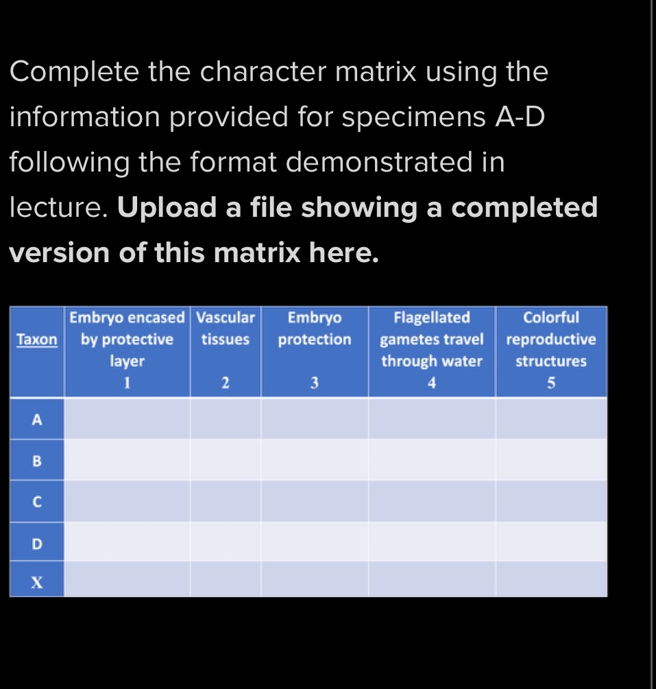 Solved Complete the character matrix using the information | Chegg.com