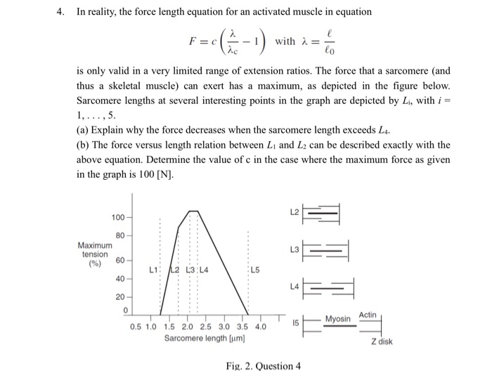 Solved =cC. - 1) á 4. In reality, the force length equation | Chegg.com
