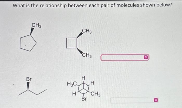 Solved What is the relationship between each pair of | Chegg.com