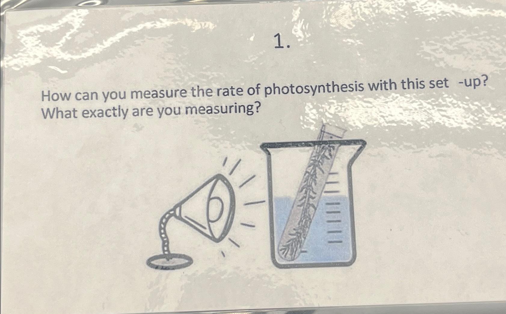 Solved How can you measure the rate of photosynthesis with | Chegg.com