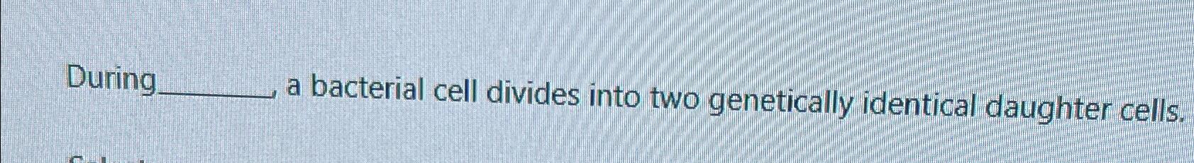 Solved Durin a bacterial cell divides into two genetically | Chegg.com