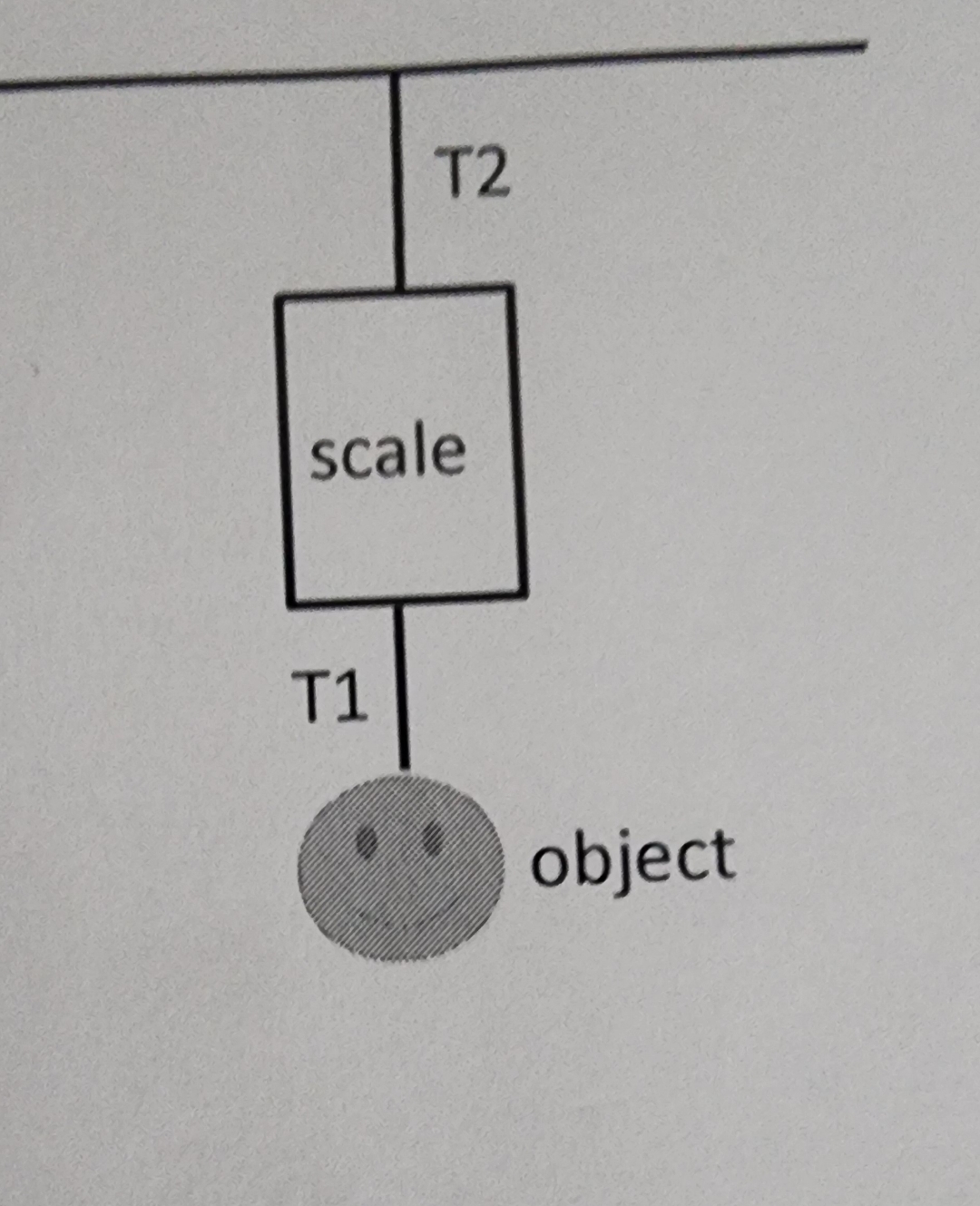 Solved Consider the object being weighed in the picture | Chegg.com