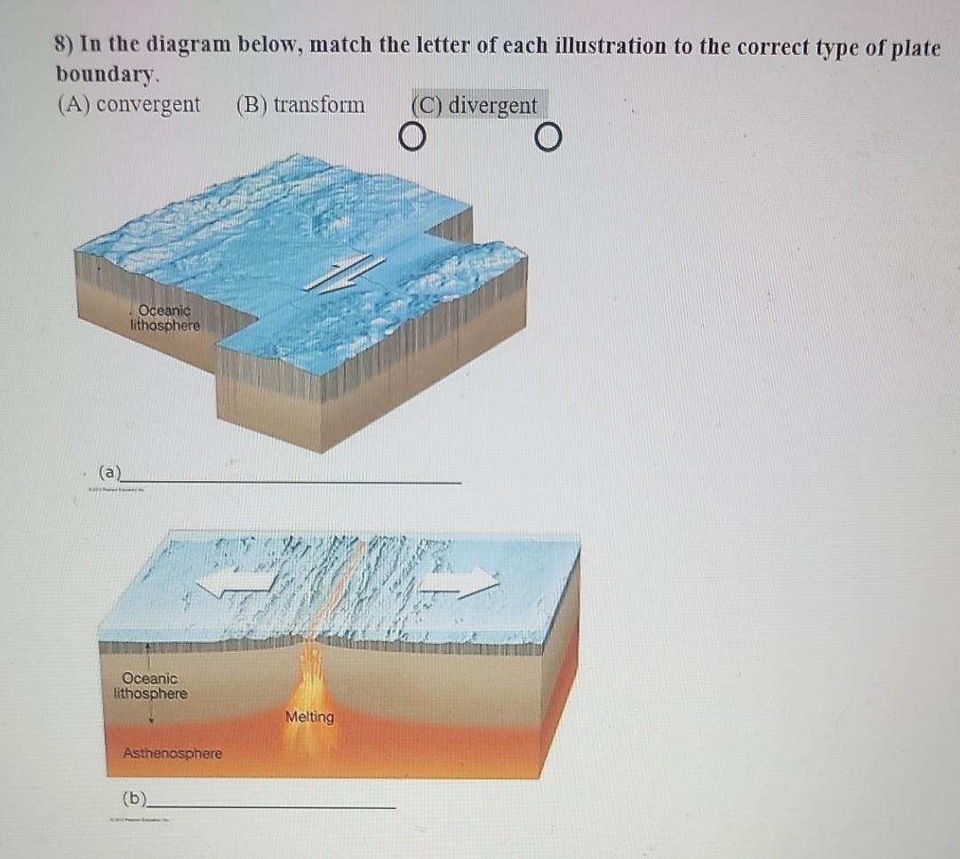 Solved 8) In the diagram below, match the letter of each | Chegg.com