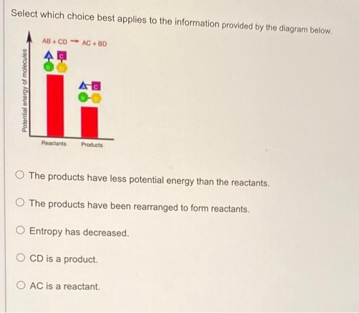 Solved Put the following structures in the correct order to | Chegg.com